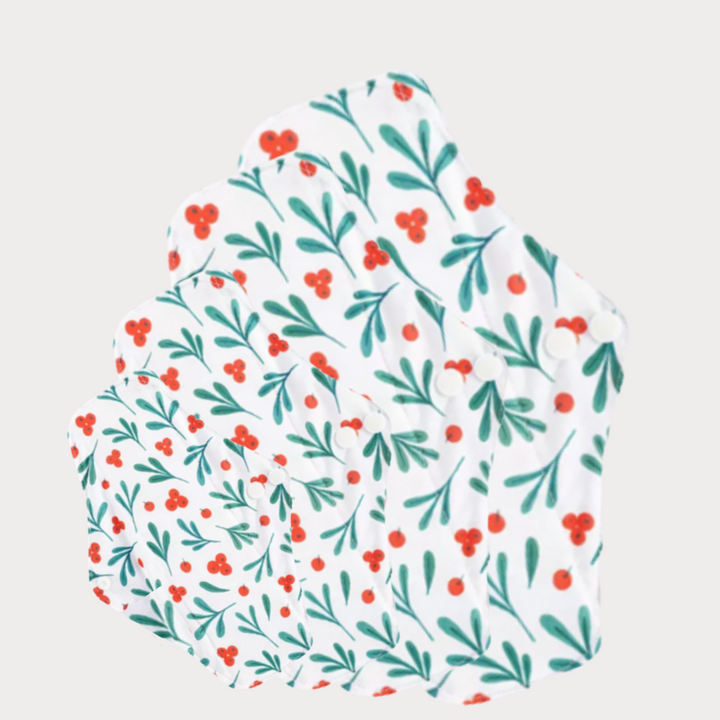 Absorbante Reutilizabile – Chilotis